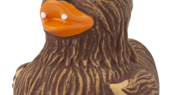 Whooping Duck | Ducks - The Game Rules