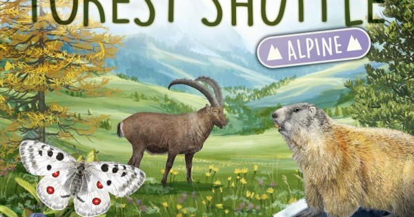 Forest Shuffle: Alpine Expansion